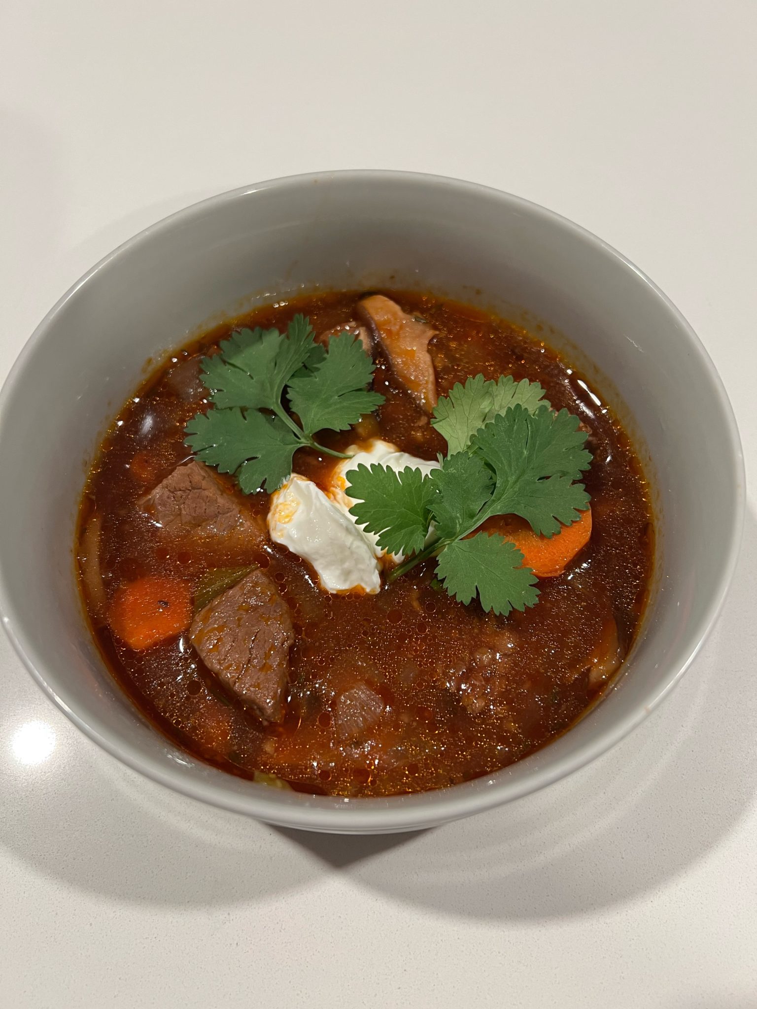 Grass-fed Beef and Mushroom Stew - Breast Cancer Conqueror