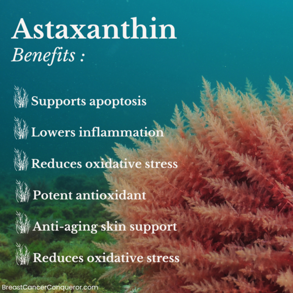 Astaxanthin and it's 4 Powerful Breast Cancer Healing Benefits - Breast ...