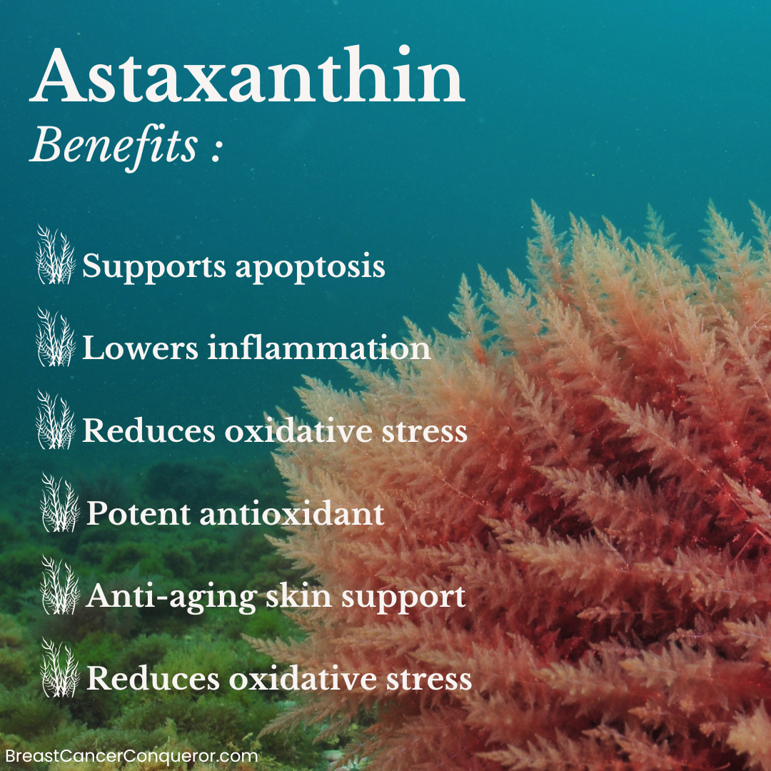 Astaxanthin and it's 4 Powerful Breast Cancer Healing Benefits - Breast ...