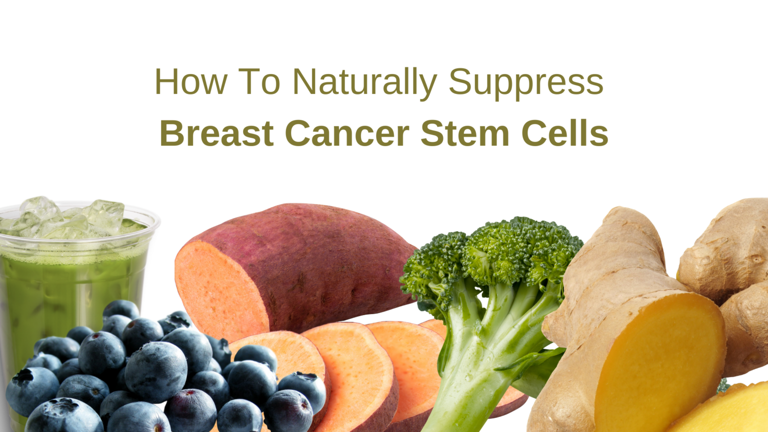 How To Naturally Suppress Breast Cancer Stem Cells - Breast Cancer ...