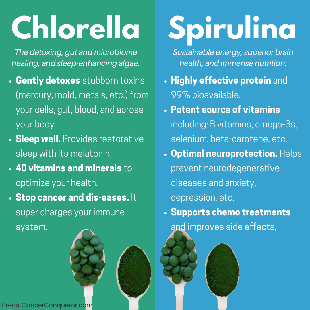 Amazing Healing Powers Found In Chlorella And Spirulina Algae