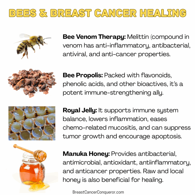 Apitherapy: The Healing Power of Bees