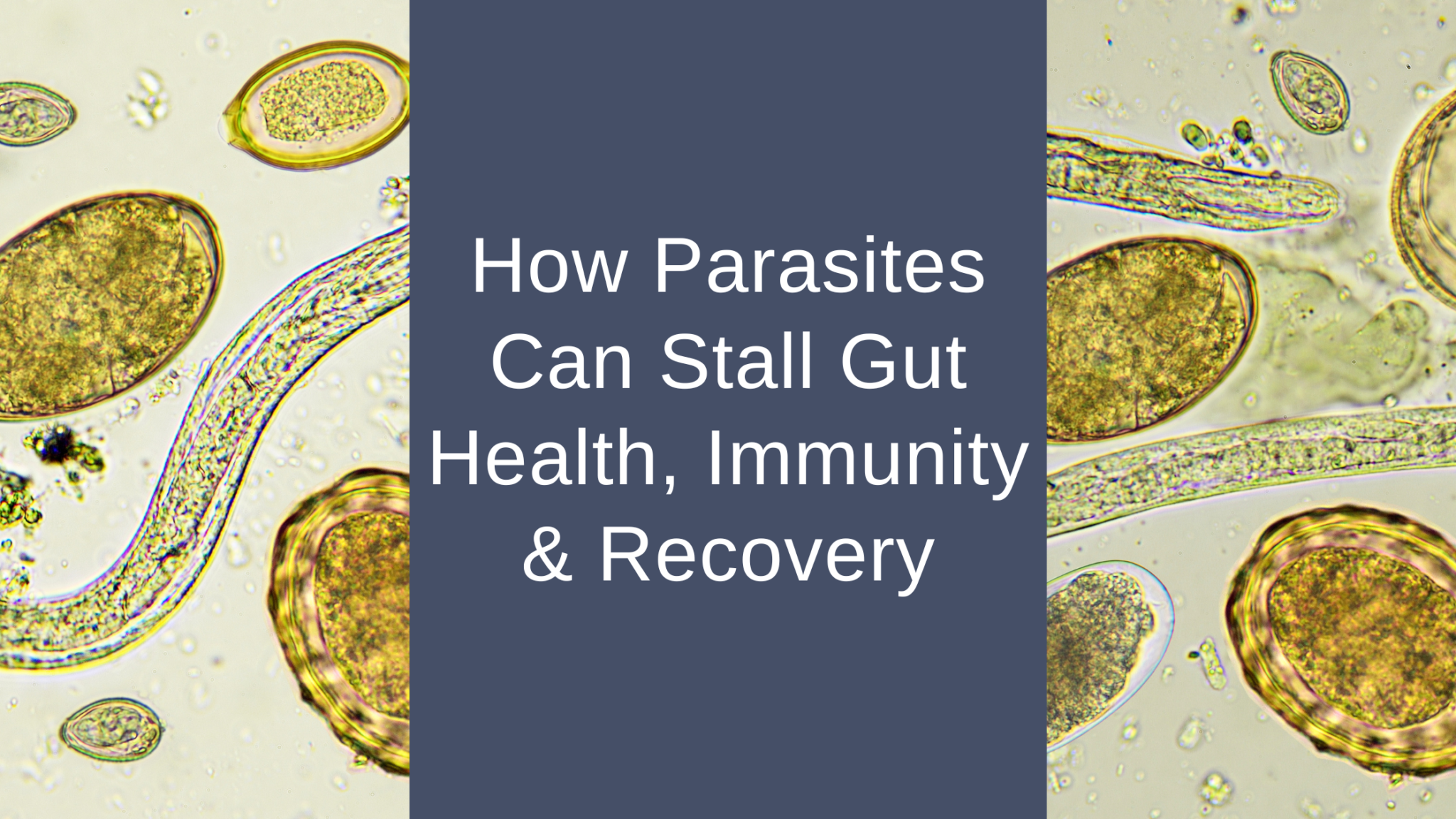 How Parasites Can Stall Gut Health, Immunity, and Recovery - Breast ...